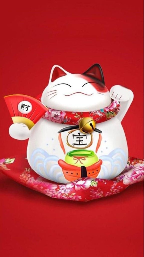 Tổng hợp 200+ Ảnh mèo cute full HD - topanh.com