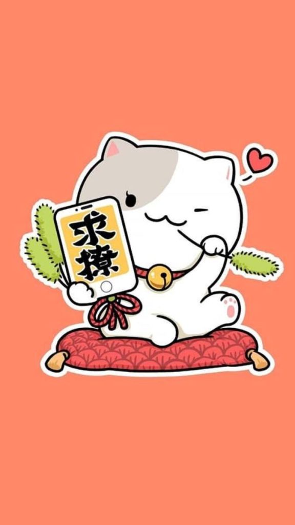 Tổng hợp 200+ Ảnh mèo cute full HD - topanh.com