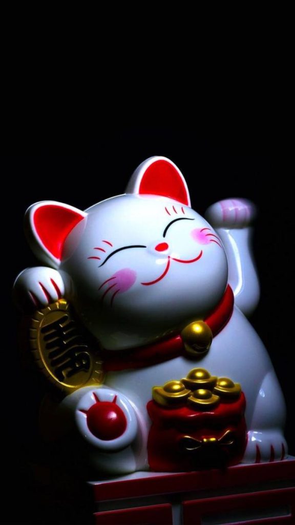 Tổng hợp 200+ Ảnh mèo cute full HD - topanh.com