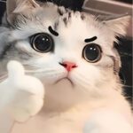 Tải ngay 250+ hình con vật cute, siêu đáng yêu về máy - topanh.com