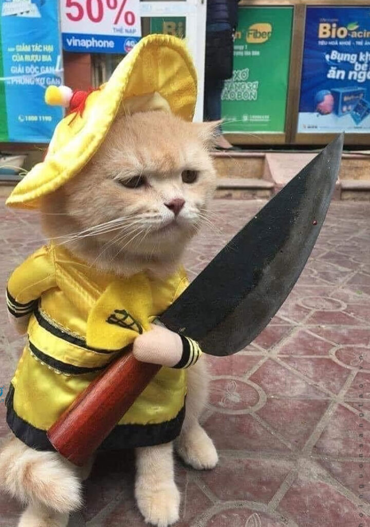 Tải ngay 250+ hình con vật cute, siêu đáng yêu về máy - topanh.com